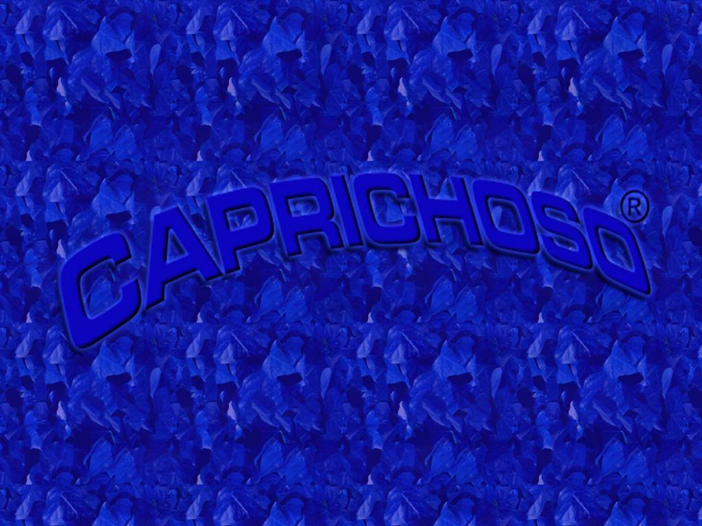 Boi Caprichoso - LETRAS