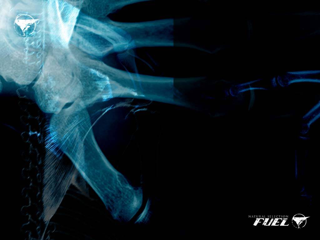 Fuel - LETRAS